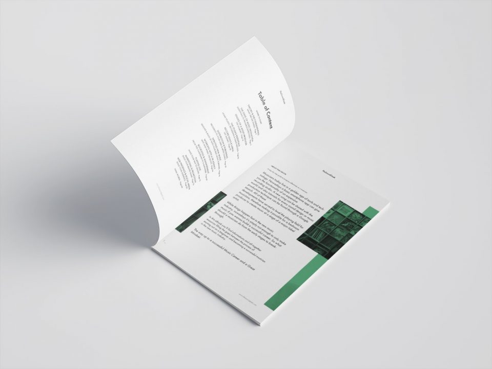 Essentials For Musicians The Guide To Progress Effectively As A Musician